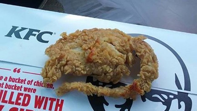 Eca! Homem afirma ter recebido rato frito em lanche do KFC